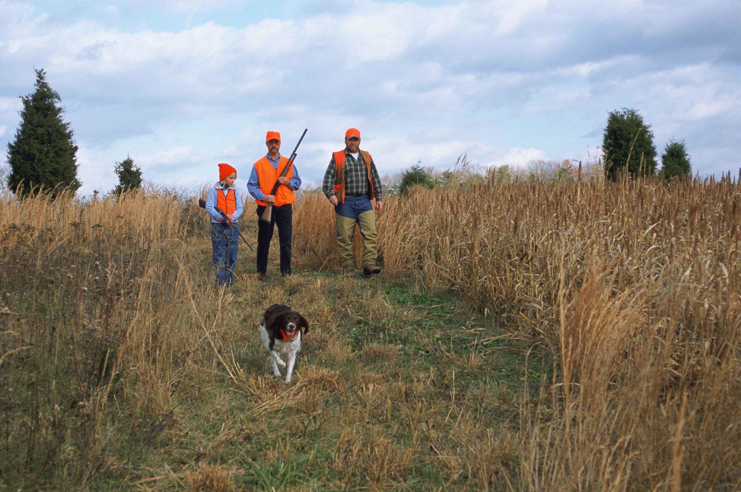 Mineurs à la chasse: une pratique qui pose question