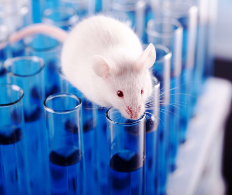 Expérimentation animale : les derniers chiffres