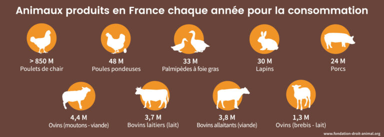 Évolution de l'élevage (Panneau 11) - La Fondation Droit Animal ...