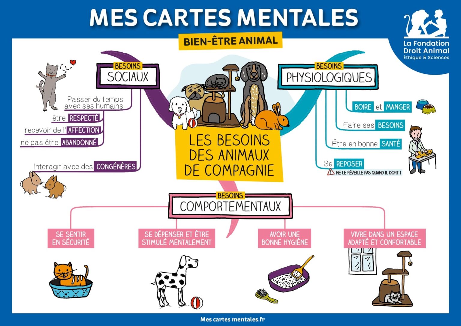 Carte 4 Les besoins des animaux de compagnie - La Fondation Droit ...